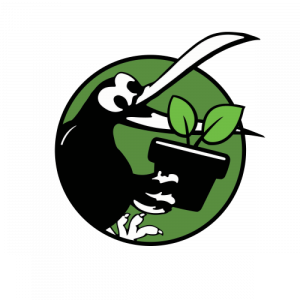 Kiwi Nurseries - Kiwi Nurseries