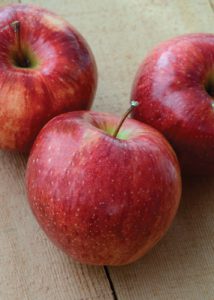 September Ruby Apple • Kiwi Nurseries Ltd