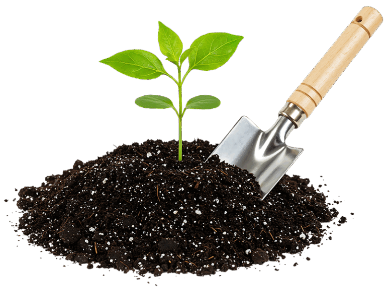 Kiwi Nurseries - Kiwi Nurseries